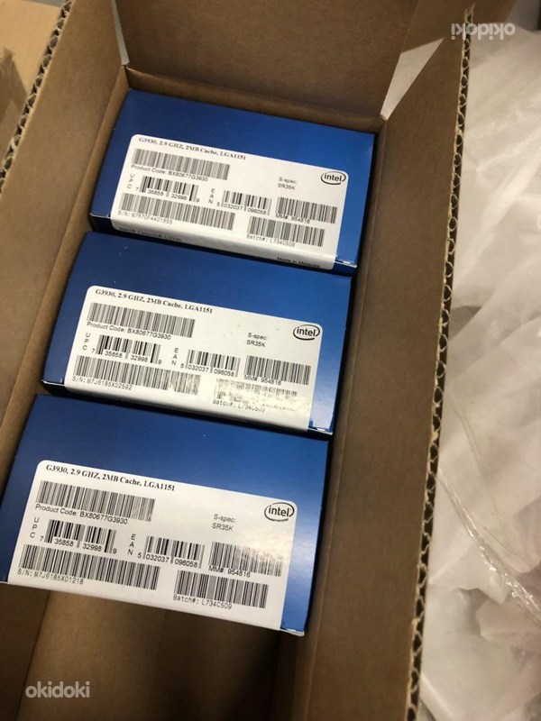 LGA 1151 - G3900 box and Cooler - Tallinn, Protsessorid – okidoki