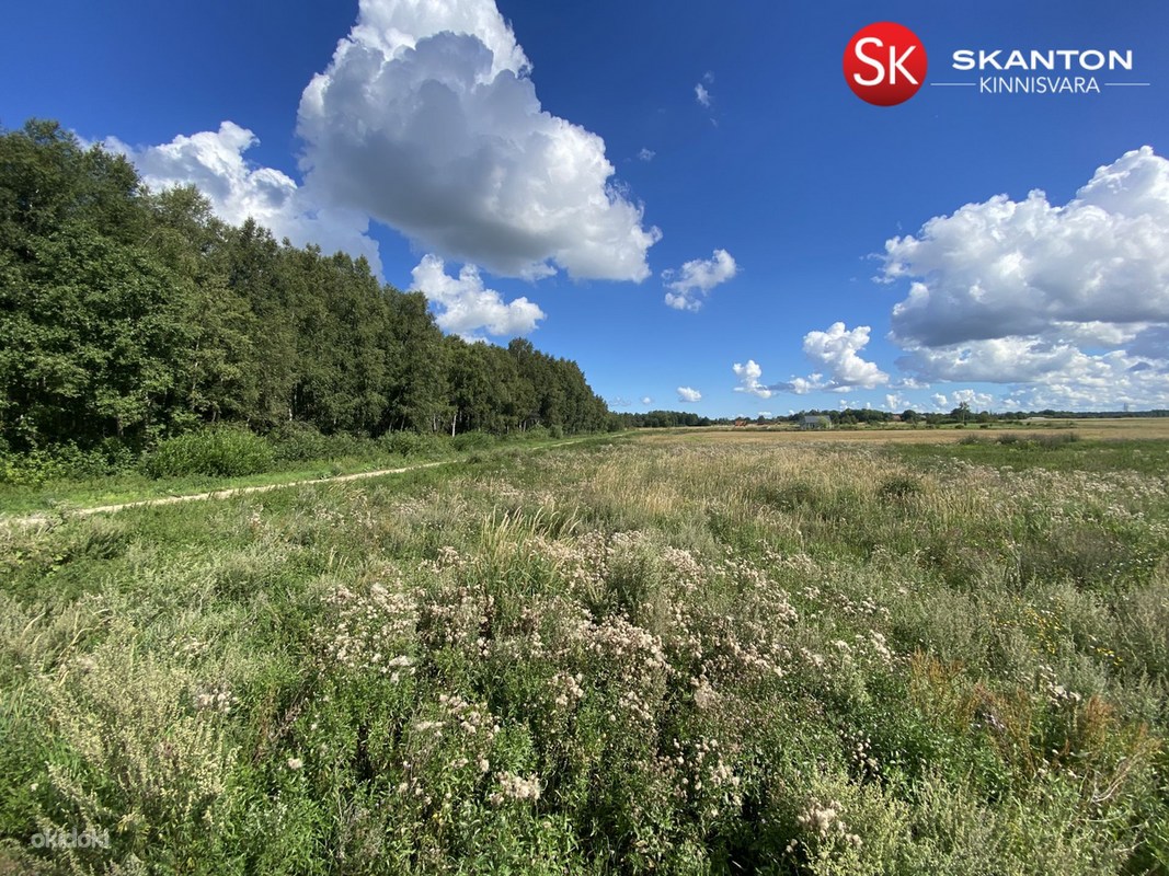 Harju maakond, Raasiku vald, Järsi küla, Künkametsa - Järsi, Raasiku ...